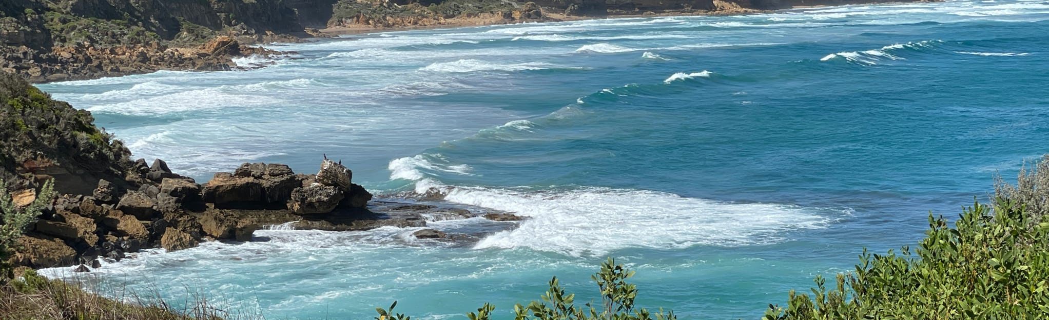 Enchanted Forest Walk: 39 Fotos - Victoria, Australien | AllTrails