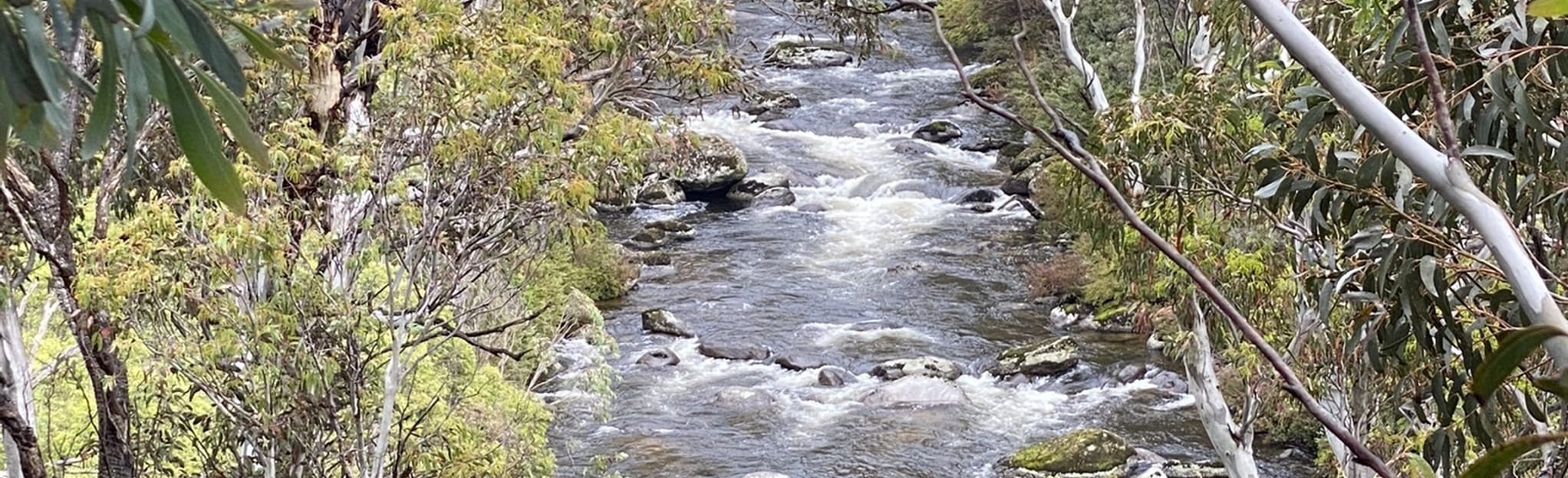 Thredbo Valley Track: Ngarigo to Thredbo Diggings, New South Wales ...