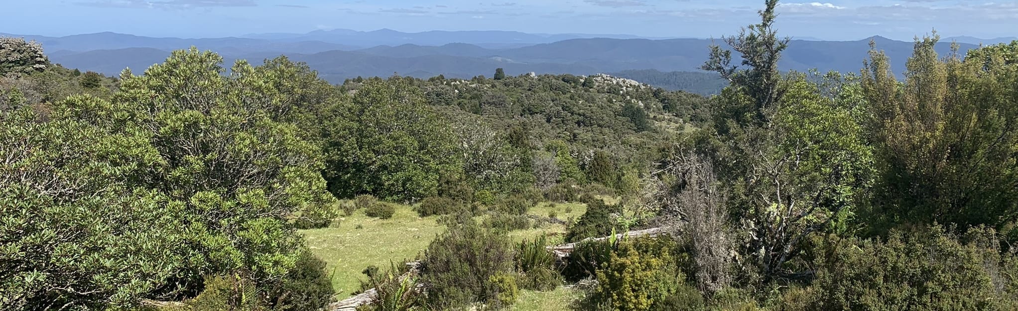 Moon Valley Rim Walk, Tasmania, Australia - 24 Reviews, Map | AllTrails