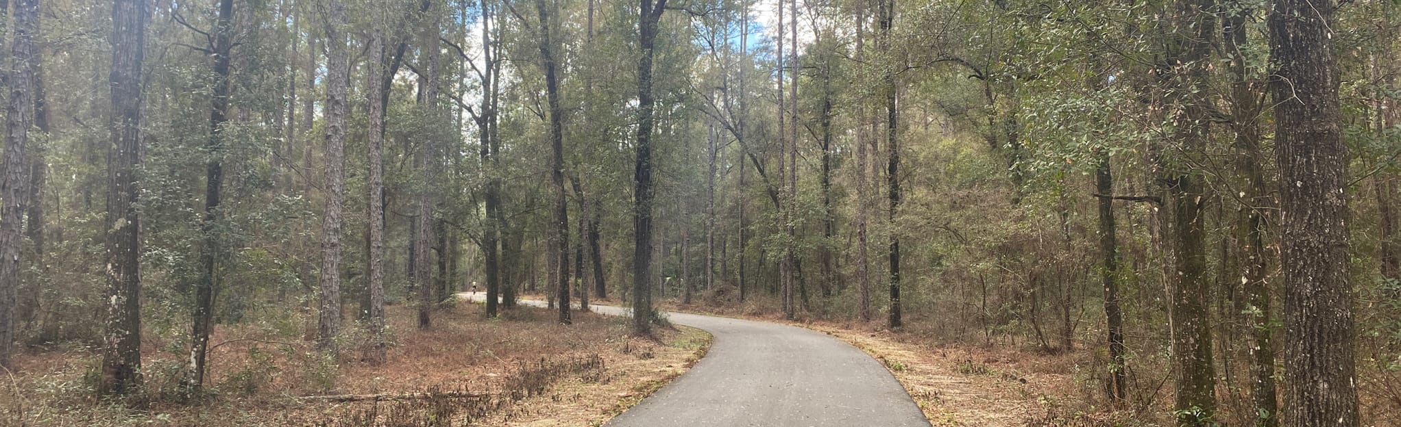 Marjorie Harris Carr Cross Florida Greenway: S Magnolia to SE 25th Ave ...