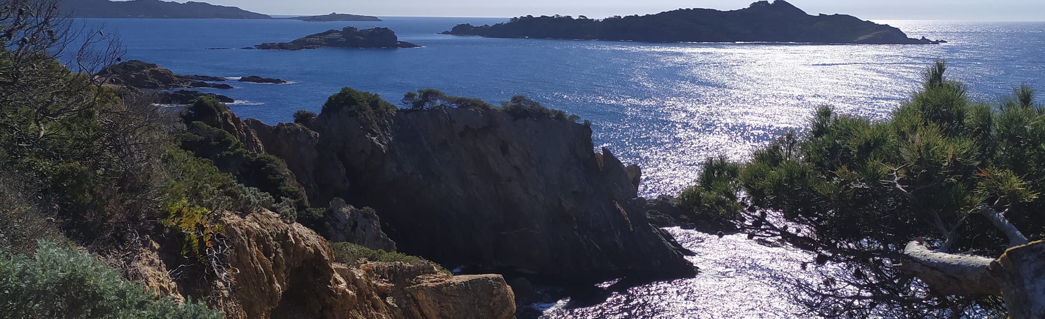 Niel Bay and Giens Peninsula: 21 Reviews, Map - Var, France | AllTrails