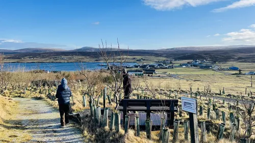 Best Forest Trails in Shetland | AllTrails
