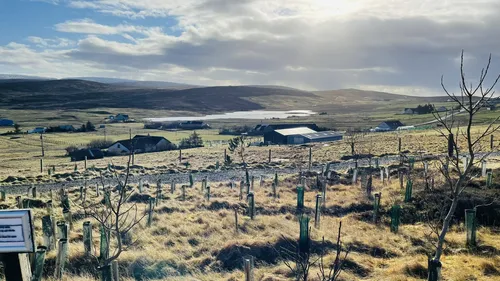 Best Forest Trails in Shetland | AllTrails