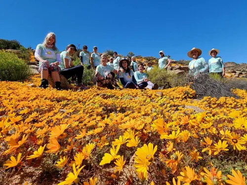 Best Wild Flowers Trails in Springbok | AllTrails