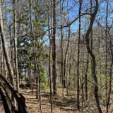 Lake Herrick and Herrick Creek Loop, Georgia - 382 Reviews, Map | AllTrails