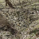 Windolph Landing Preserve Trail, Pennsylvania - 95 Reviews, Map | AllTrails