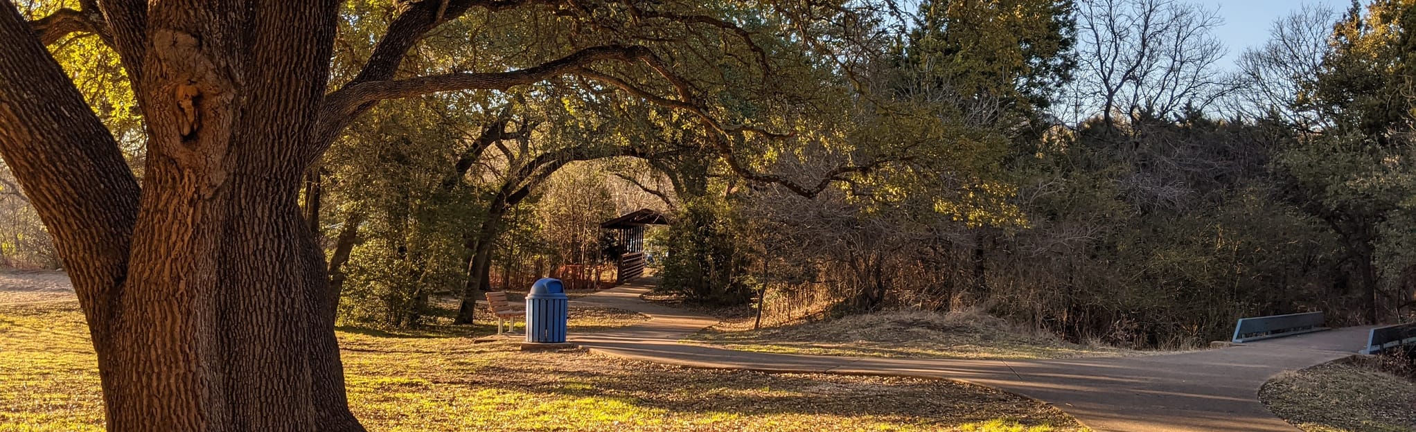 Tanglewood Park Loop, Texas - 32 Reviews, Map | AllTrails
