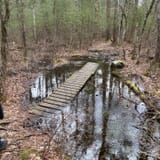 Freetown Fall River State Forest Loop, Massachusetts - 347 Reviews, Map ...