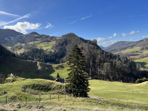 2023 Best 10 Long Trails in Thal Regional Nature Park | AllTrails