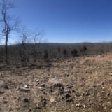 Oak Ridge Trail, Missouri - 175 Reviews, Map | AllTrails