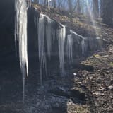 Oak Ridge Trail, Missouri - 175 Reviews, Map | AllTrails