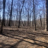 Oak Ridge Trail, Missouri - 175 Reviews, Map | AllTrails