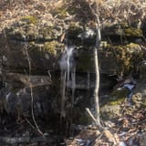 Oak Ridge Trail, Missouri - 175 Reviews, Map | AllTrails