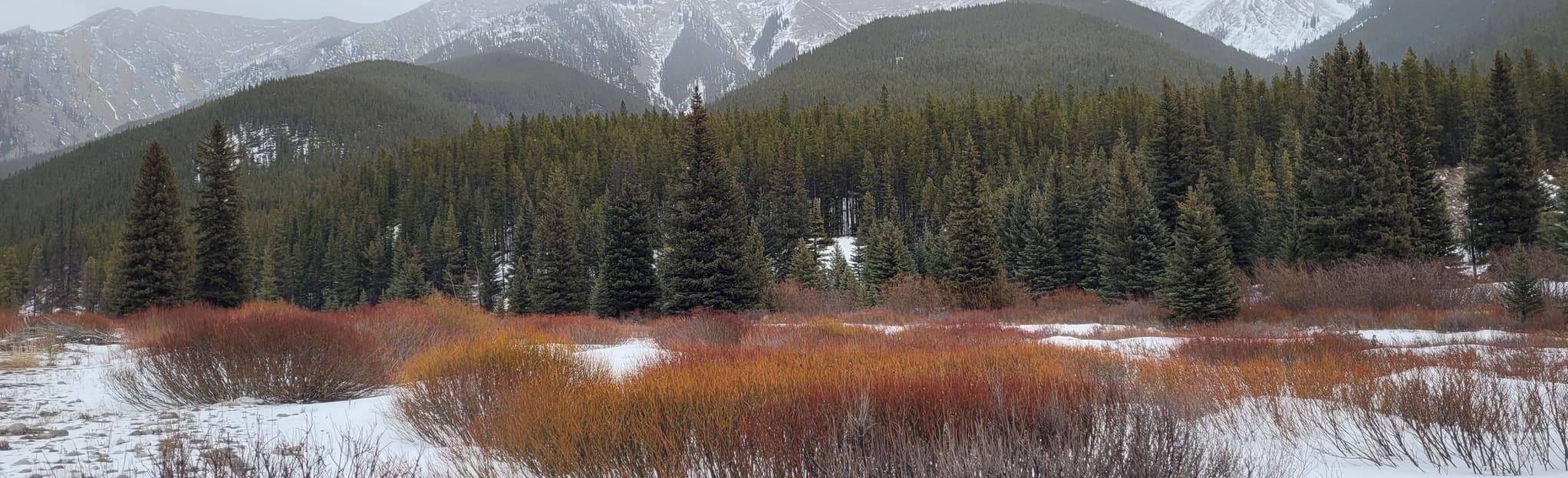 Lower Cataract Creek, Alberta, Canada - 28 Reviews, Map | AllTrails