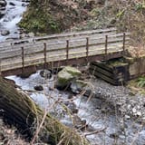 Munra Point via Gorge Trail #400, Oregon - 317 Reviews, Map | AllTrails