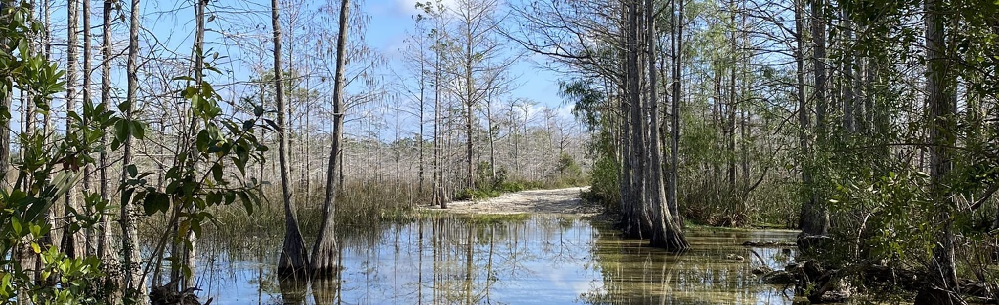 Windmill Trail , Burns Lake North, Concho Billie, and Land H Loop ...