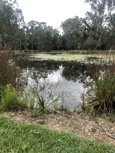 Best Hikes and Trails in Capalaba Regional Park | AllTrails