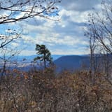 Hogback Mountain Trail, Pennsylvania - 25 Reviews, Map | AllTrails
