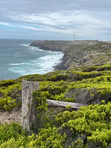 Best 10 Hikes and Trails in Discovery Bay Coastal Park | AllTrails