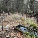 Haunted Canyon Trail #203, Arizona - 60 Reviews, Map | AllTrails