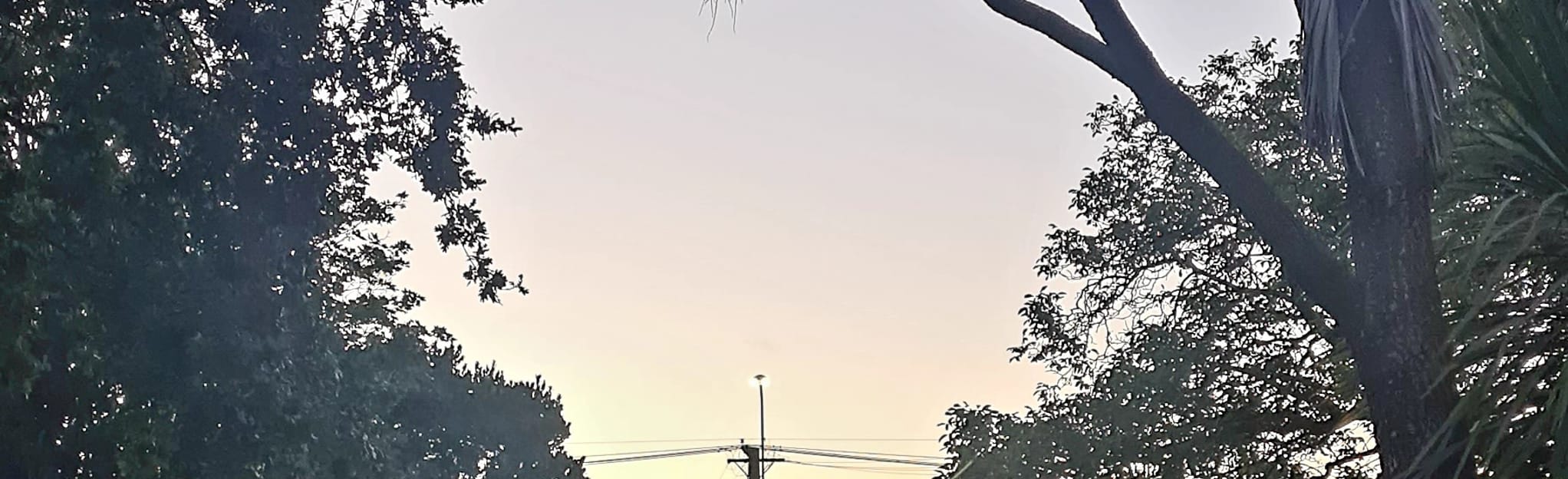 Addington Cemetery Walk - Canterbury, New Zealand | AllTrails