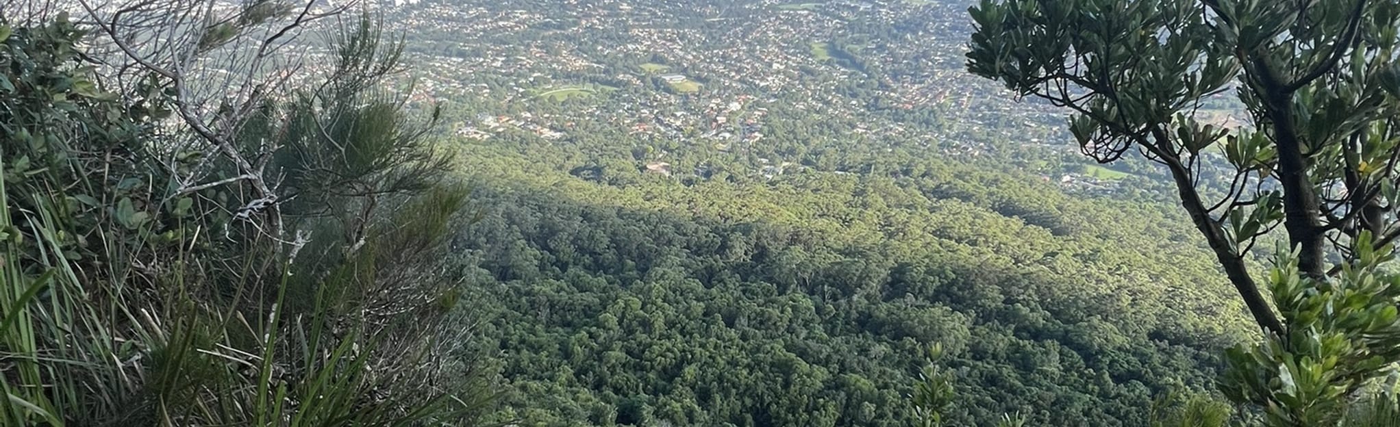 Mount Keira Summit and Ring Track | Map, Guide - New South Wales ...