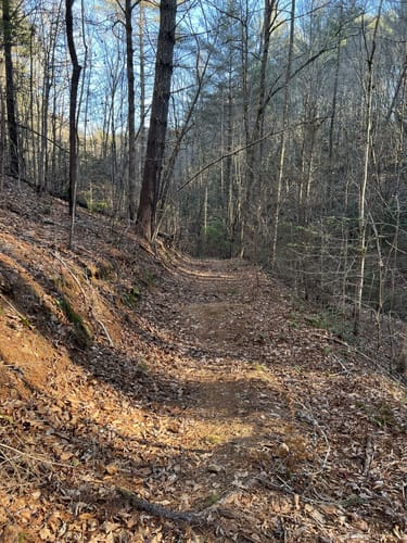2023 Best 10 Trails and Hikes in Murphy | AllTrails