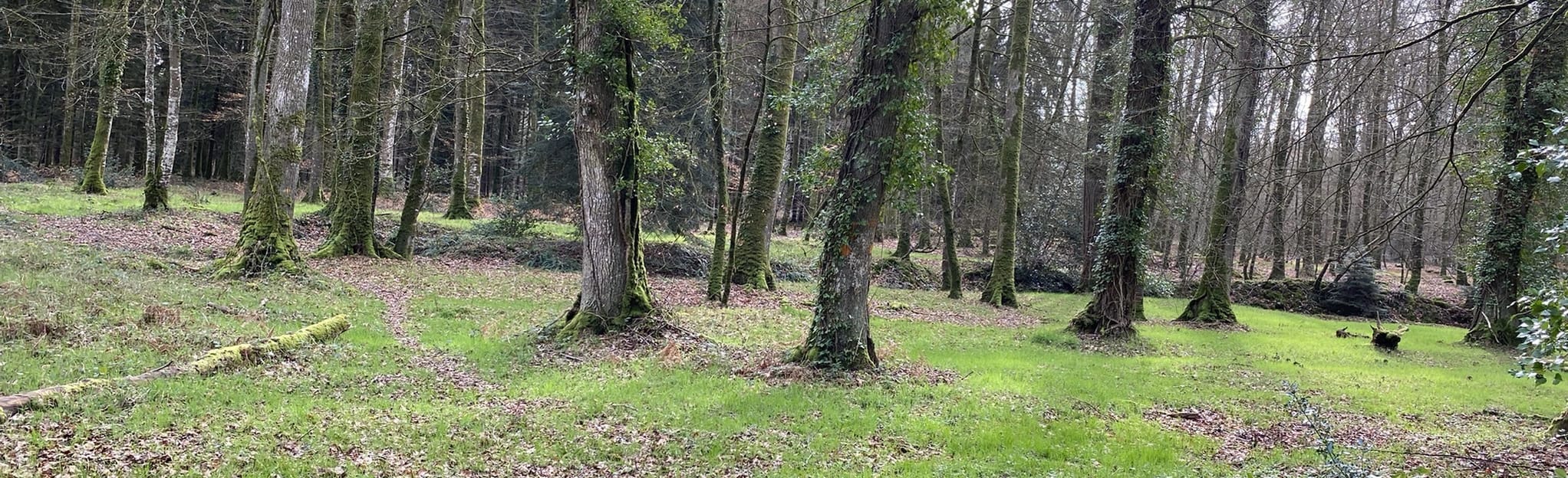 Petits Monuments Trail: 7 foto's - Ille-et-Vilaine, Frankrijk | AllTrails