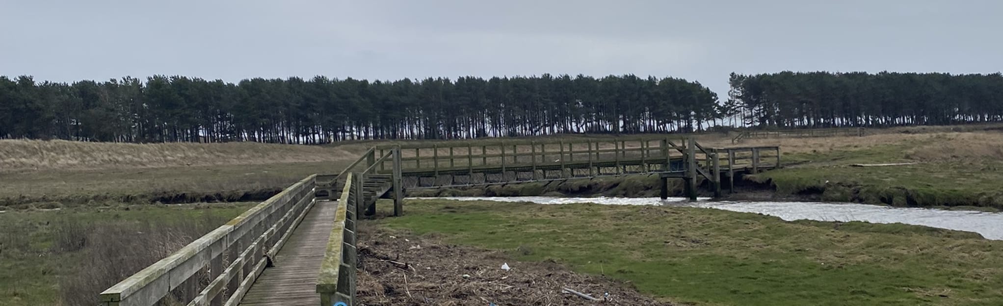 Shell Bay to Lower Largo: 5 Reviews, Map - Fife, Scotland | AllTrails