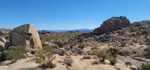 Best Lake Trails in Twentynine Palms | AllTrails