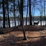 Middlesex Fells Reservation Loop Trail, Massachusetts - 527 Reviews ...