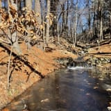 Middlesex Fells Reservation Loop Trail, Massachusetts - 527 Reviews ...