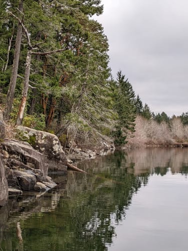 Best Hikes and Trails in Sproat Lake Provincial Park | AllTrails