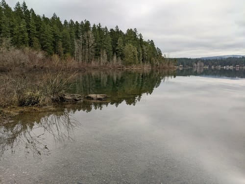 Best Hikes and Trails in Sproat Lake Provincial Park | AllTrails