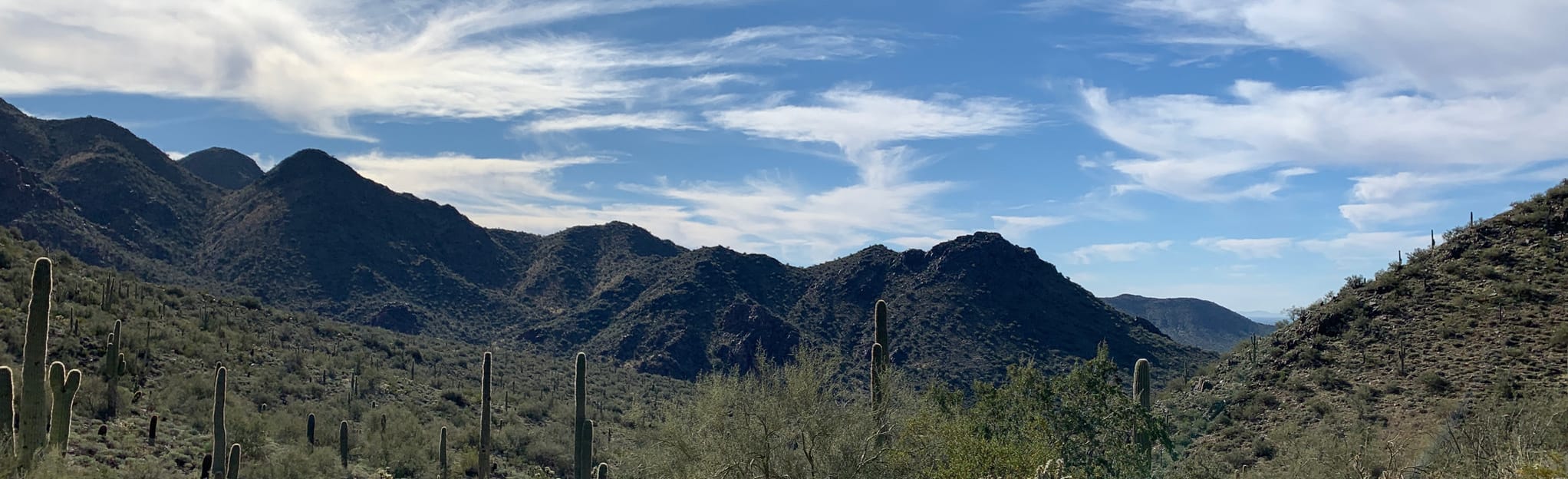 Gateway Trail: Out and Back, Arizona - 1,007 Reviews, Map | AllTrails