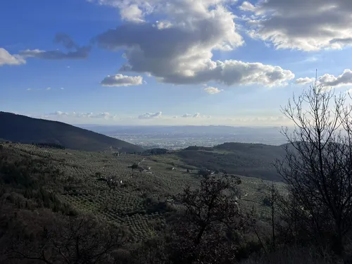 2023 Best Forest Trails in Calenzano | AllTrails