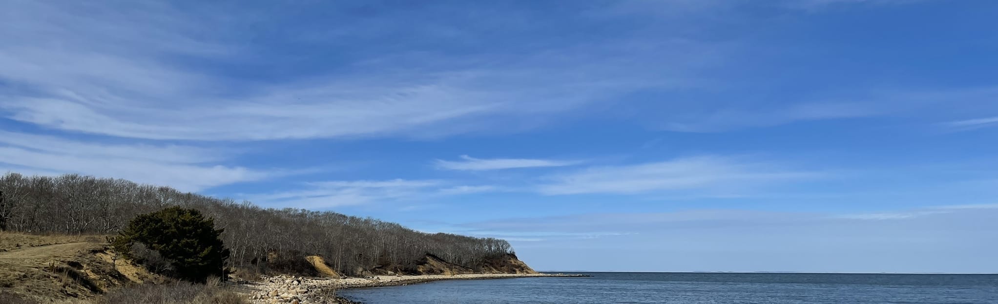 Hither Hills Trail, New York - 141 Reviews, Map | AllTrails