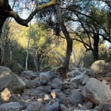 Tenaja Canyon via Tenaja Trail, California - 181 Reviews, Map | AllTrails