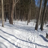 Genesee County Park and Forest Trail, New York - 271 Reviews, Map ...