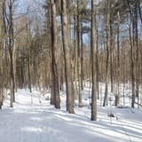 Genesee County Park and Forest Trail, New York - 284 Reviews, Map ...