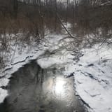 Genesee County Park and Forest Trail, New York - 284 Reviews, Map ...