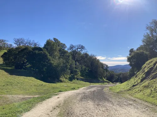Best Hikes and Trails in Mount Burdell Open Space Preserve | AllTrails