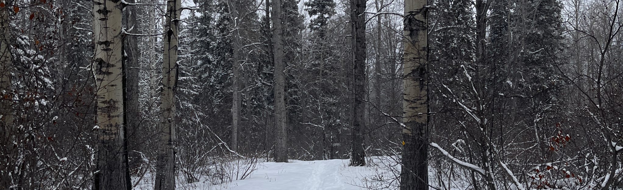 LPCF Deer Trail, British Columbia, Canada - 2 Reviews, Map | AllTrails