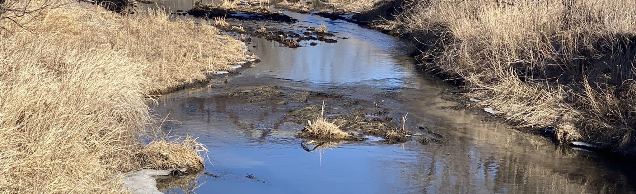 Sheldon Recreational Trail, Iowa - 26 Reviews, Map | AllTrails