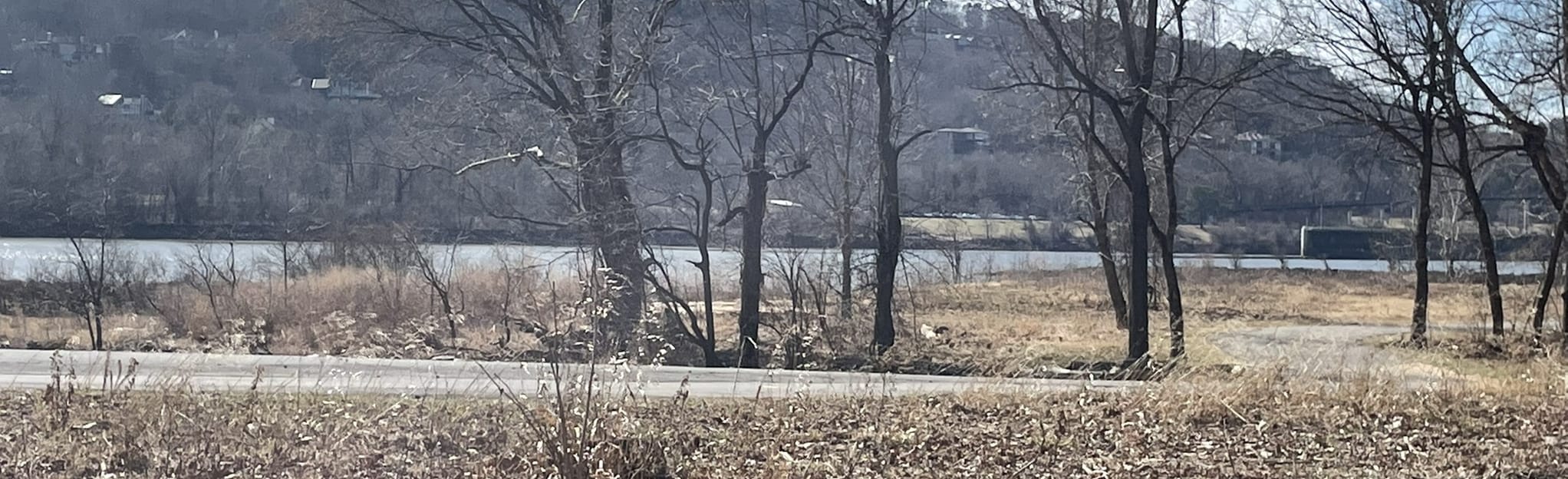 Pfeifer Loop - Arkansas | AllTrails