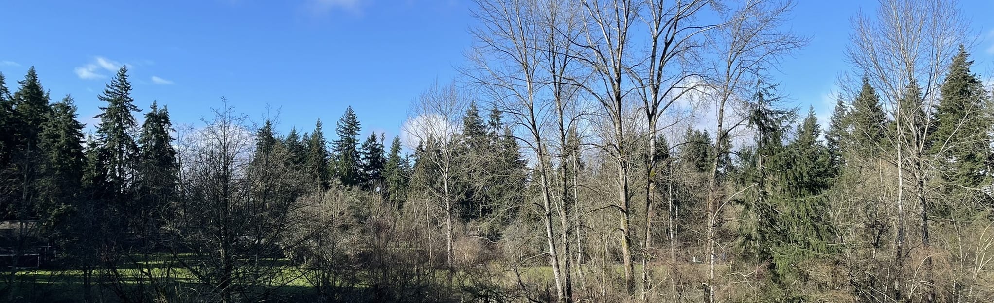 Robinswood Loop: 103 Reviews, Map - Washington | AllTrails