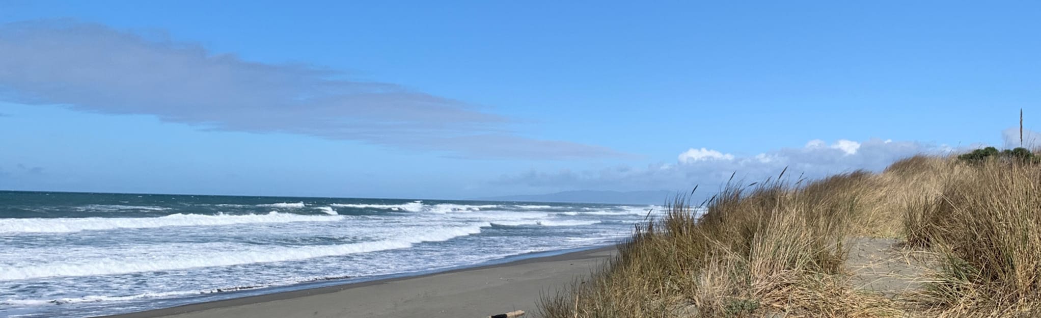 Samoa Beach, California - 137 Reviews, Map | AllTrails