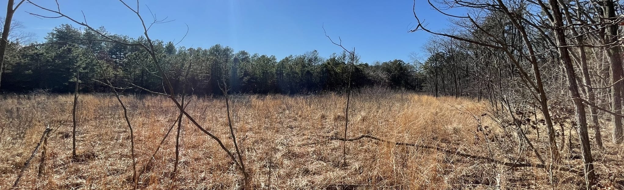 Blue and Red Trail Loop from Route 25A: 192 Reviews, Map - New York ...