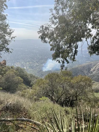 10 Best Trails and Hikes in Altadena | AllTrails