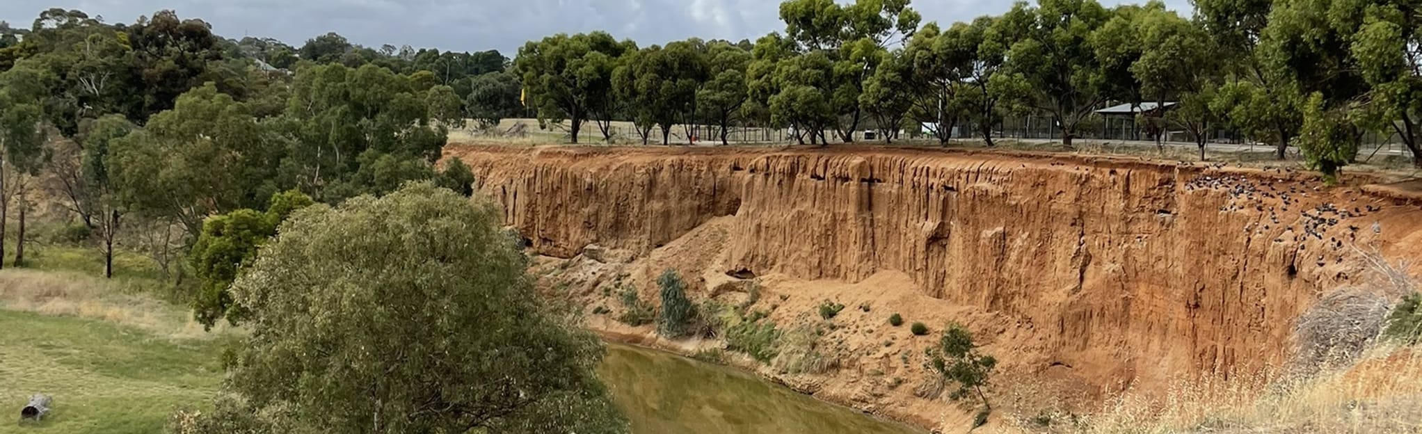 North Para River Walk, South Australia, Australia - 35 Reviews, Map ...